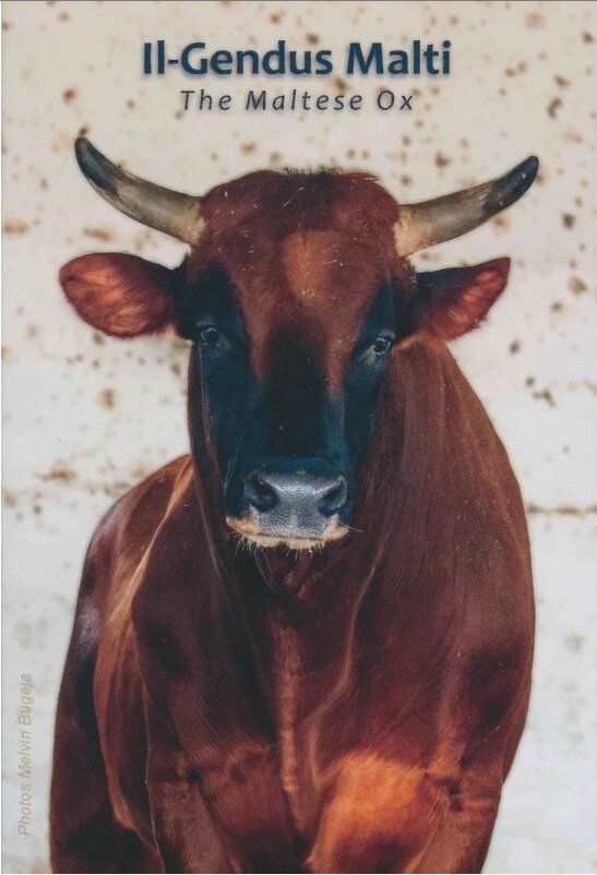 2 EURO Malta 2025 - Maltský vôl | Kúpte na Nunofi.sk