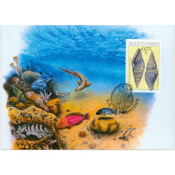 Carte maximum 2022 - Fosília ulitník